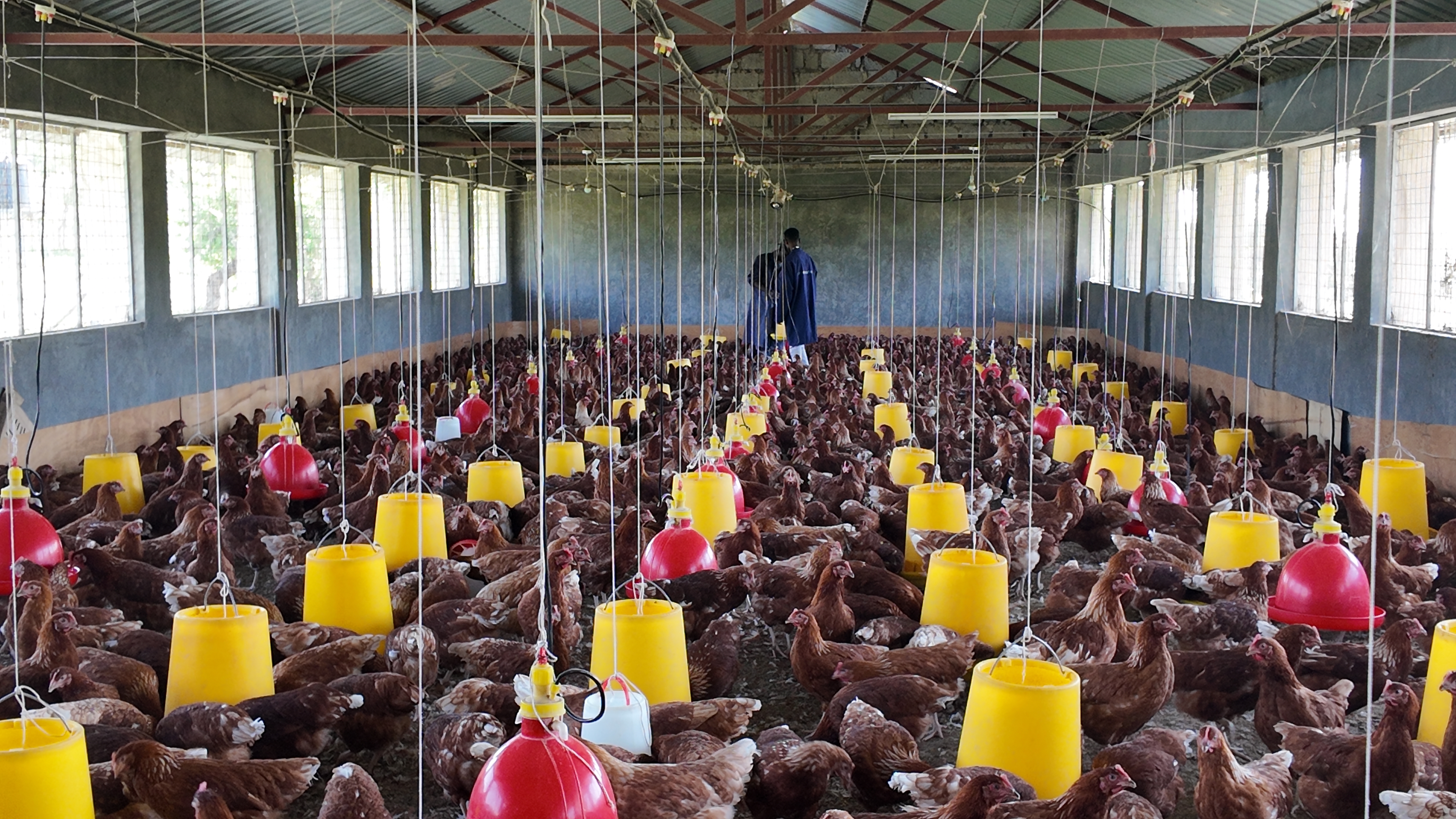 Moge Livestock Farm | Smart Agriculture